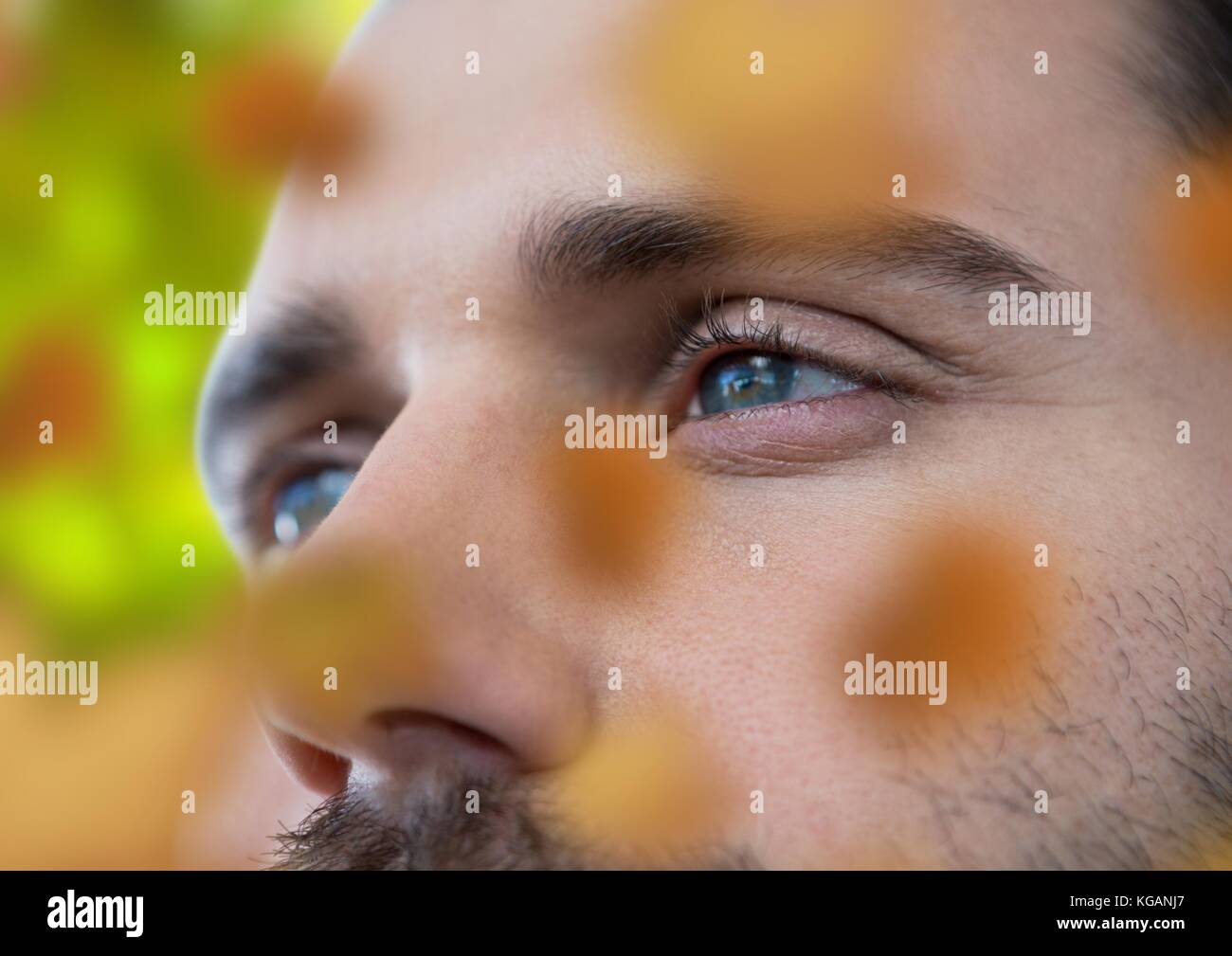 Digital composite of Man's face in forest with leaves Stock Photo - Alamy