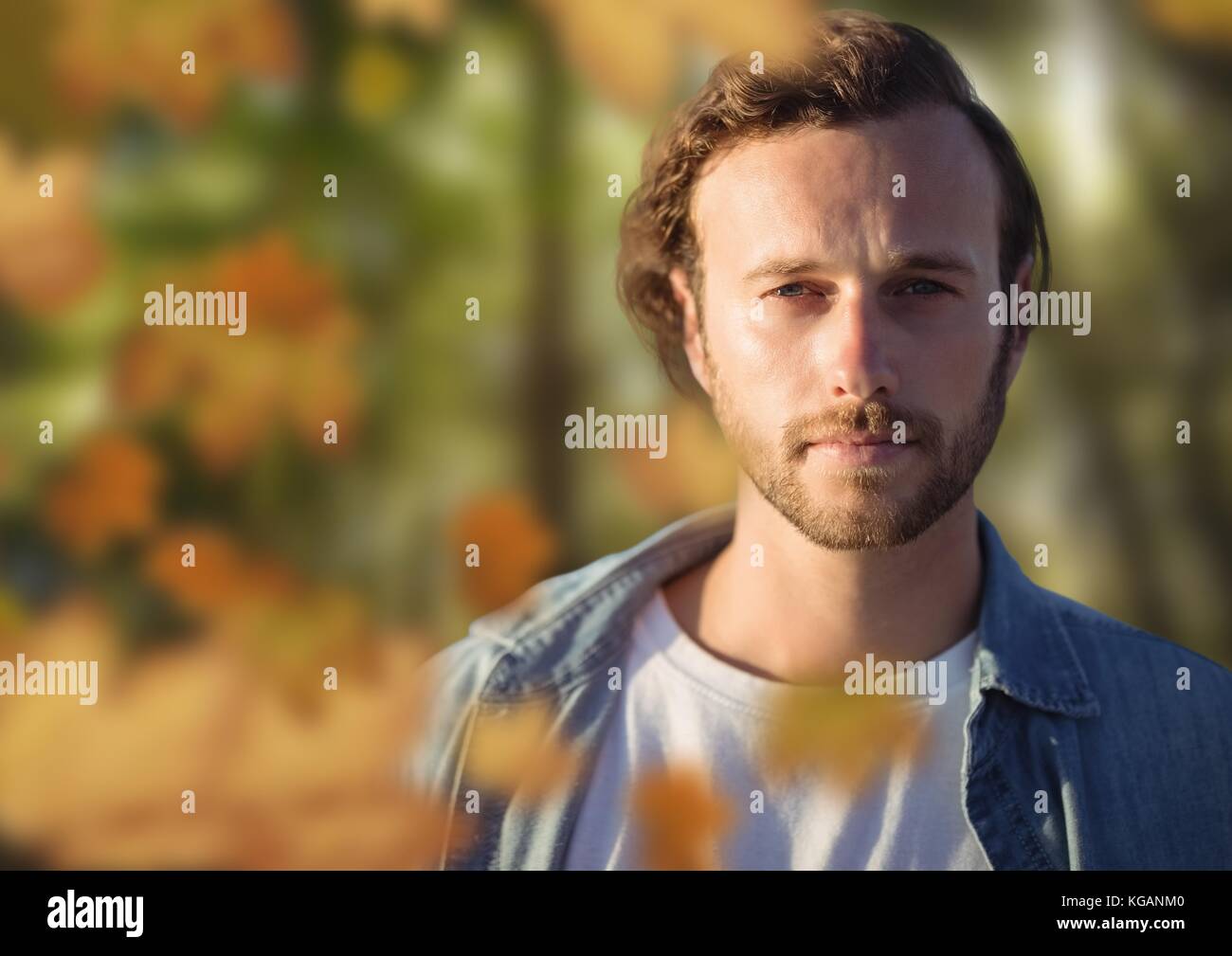 Digital composite of Man's face in forest with leaves Stock Photo - Alamy