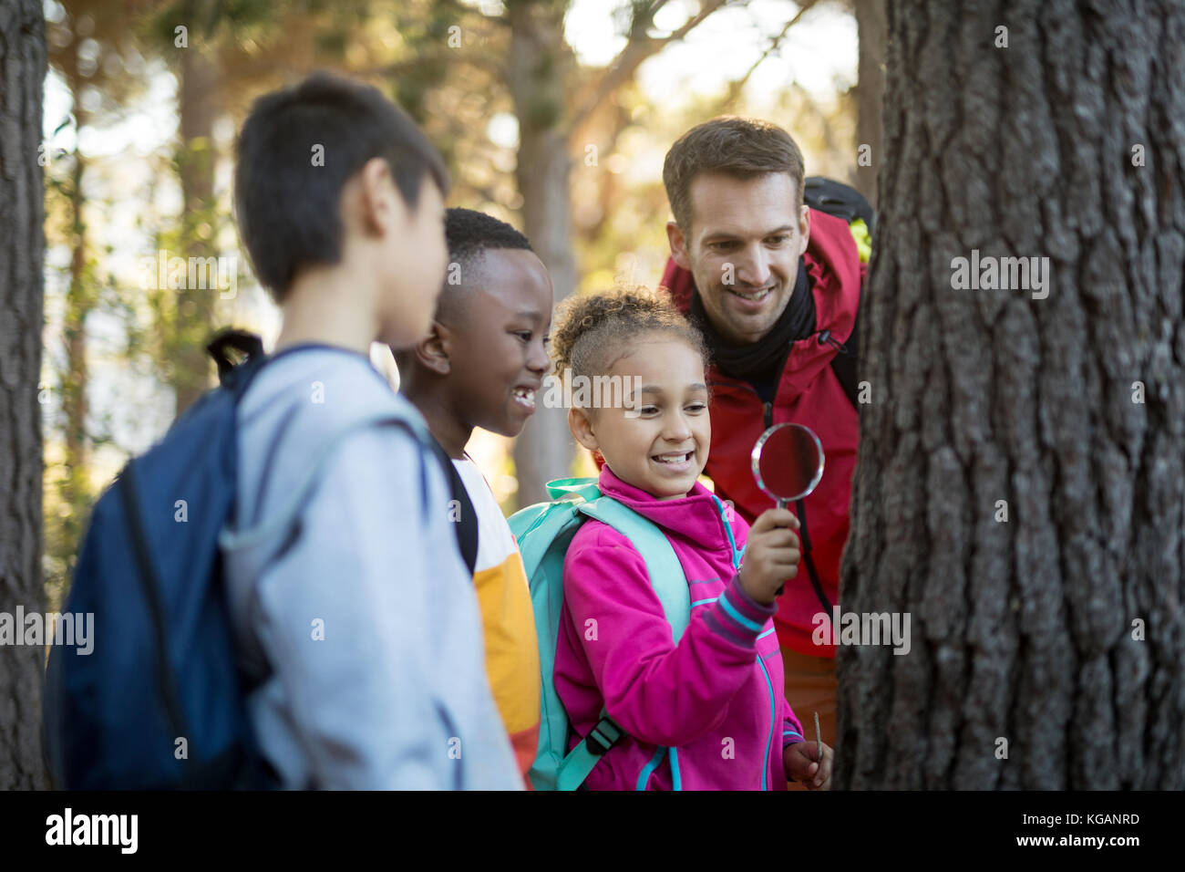 Teacher and kids examining tree trunk in park Stock Photo - Alamy
