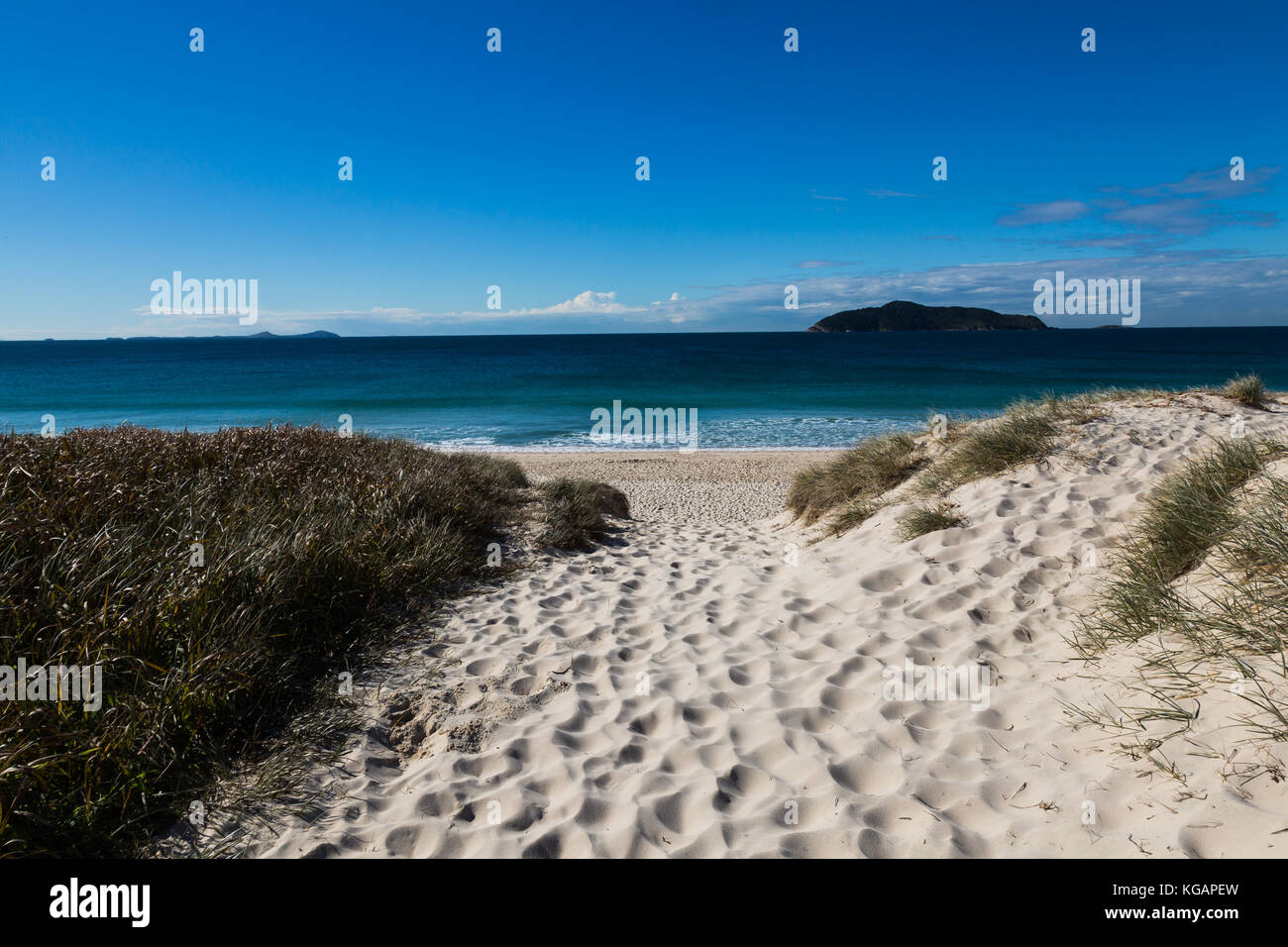 Australian hawks hi-res stock photography and images - Alamy