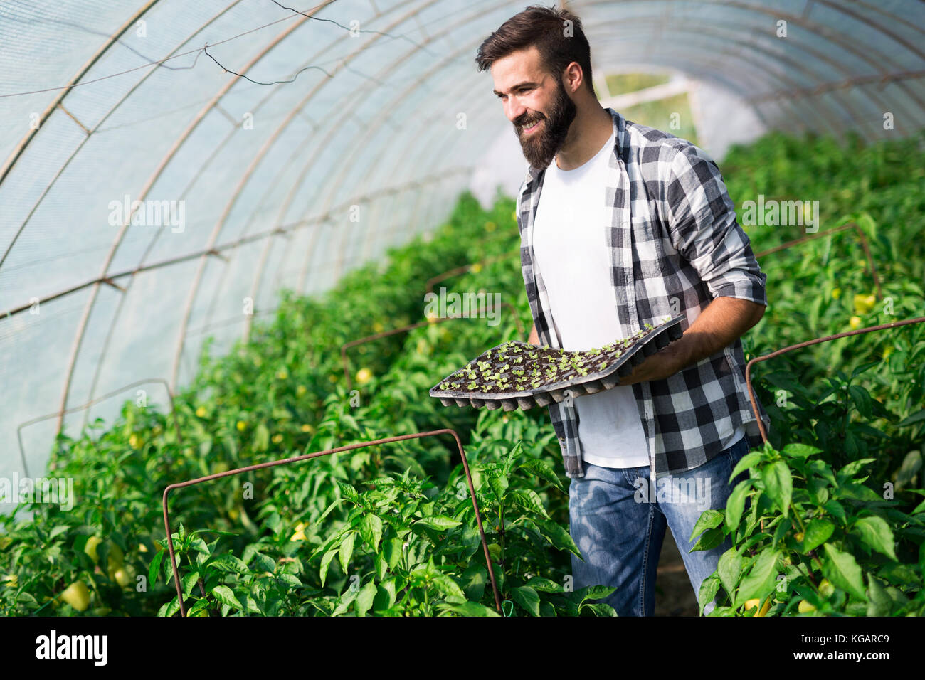 Smart plant care hi-res stock photography and images - Alamy