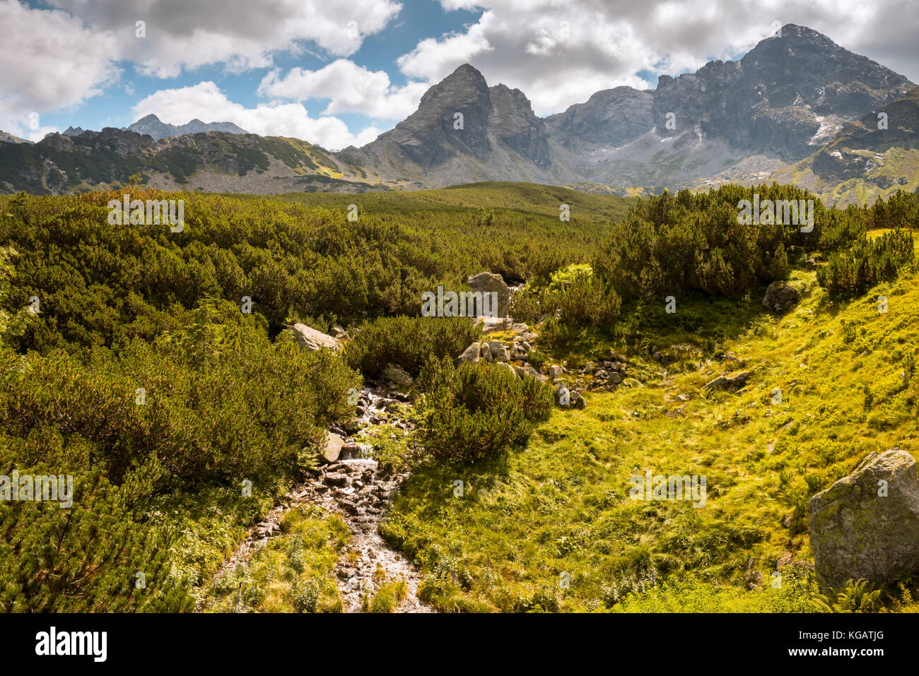 Spring landscape poland hi-res stock photography and images - Alamy