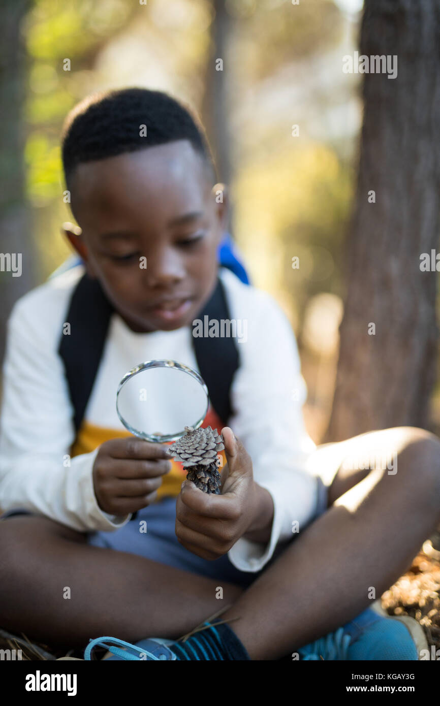 Pine elementary hi-res stock photography and images - Alamy