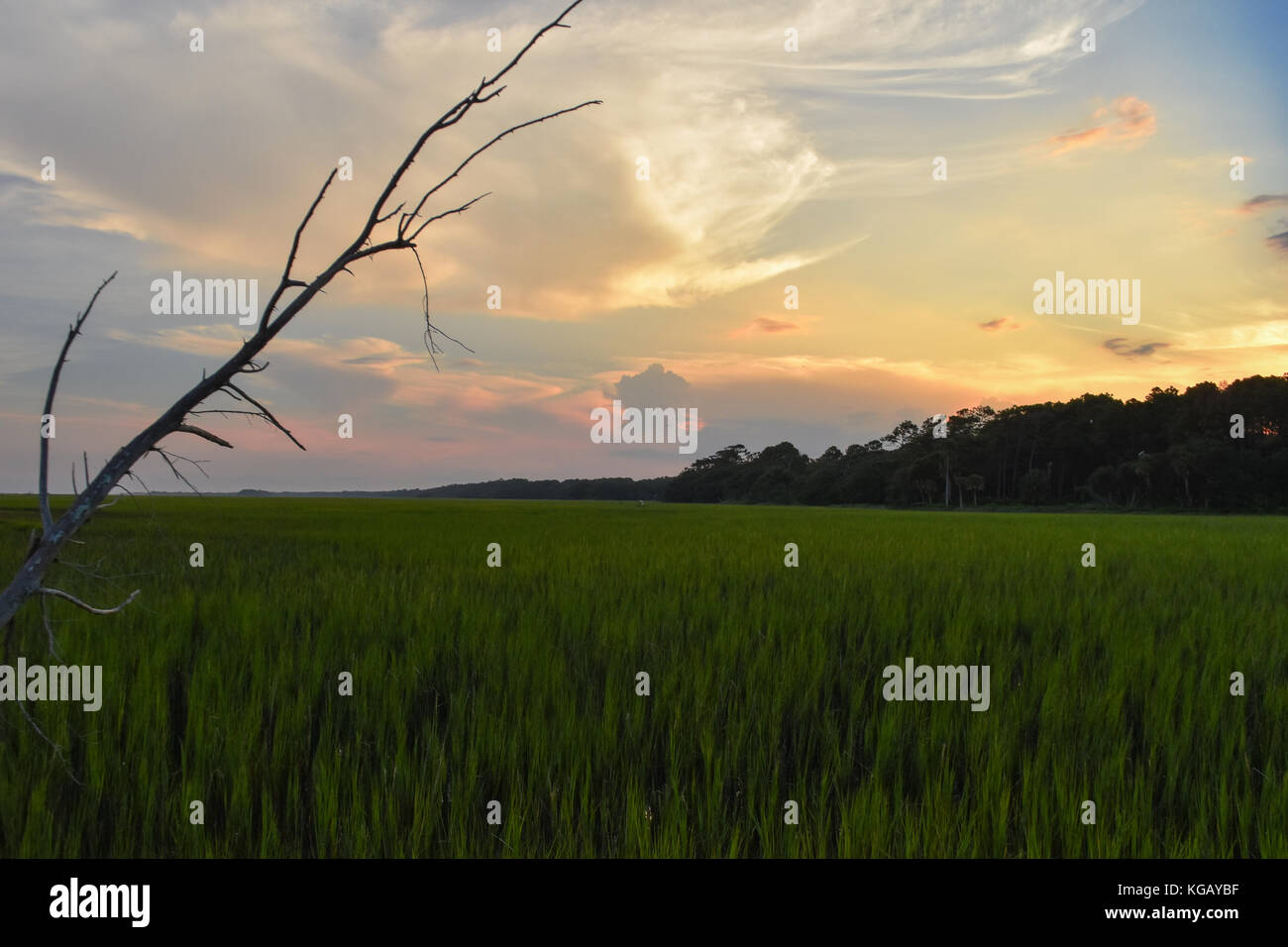 Sunset in Edisto Stock Photo - Alamy