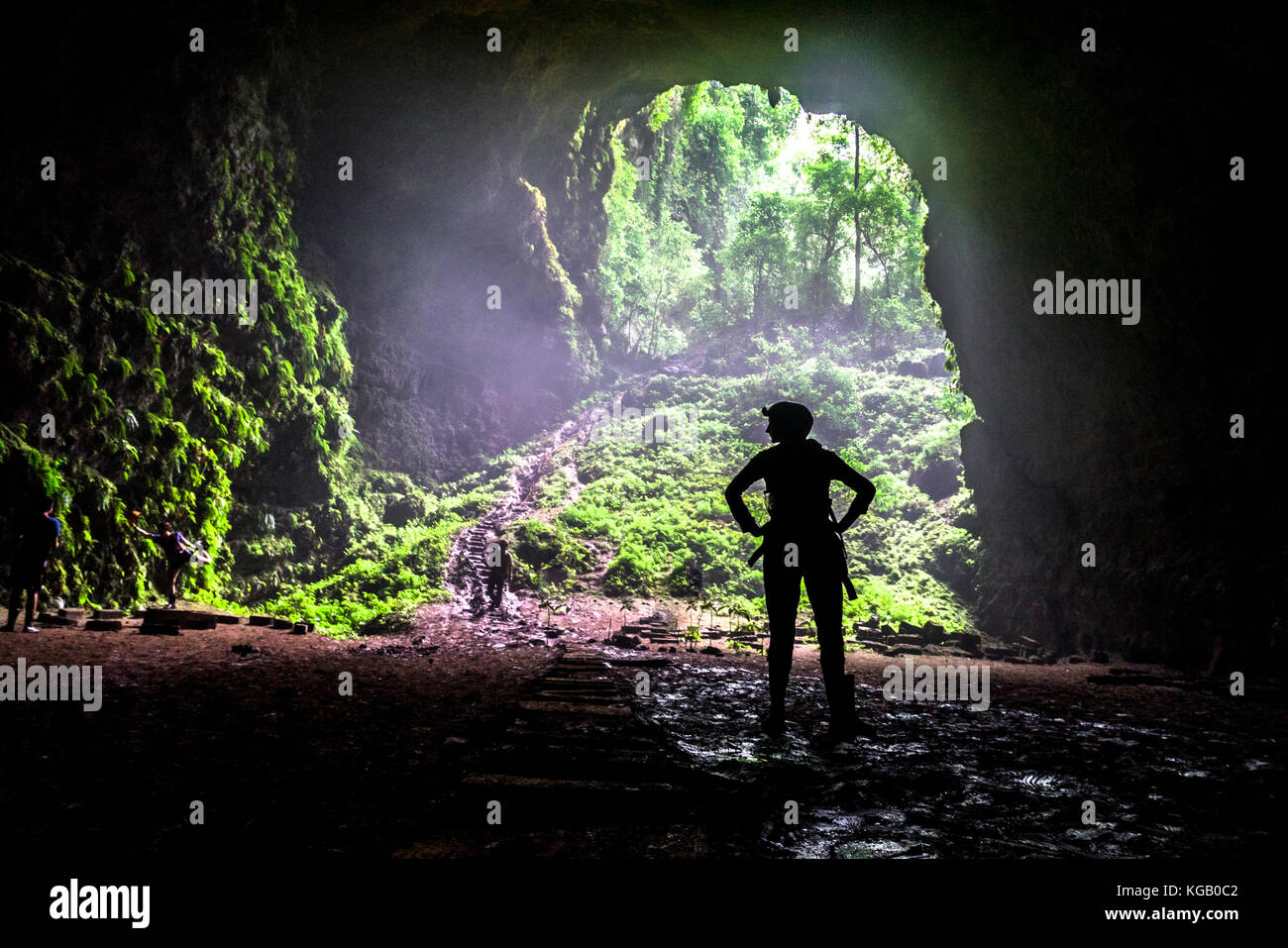 Forrest caves hi-res stock photography and images - Alamy