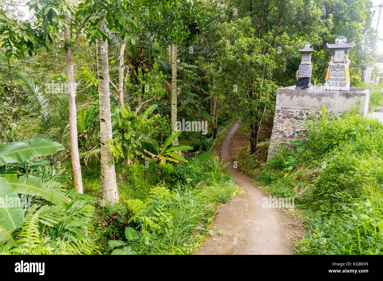Munduk - rice fields Stock Photo - Alamy