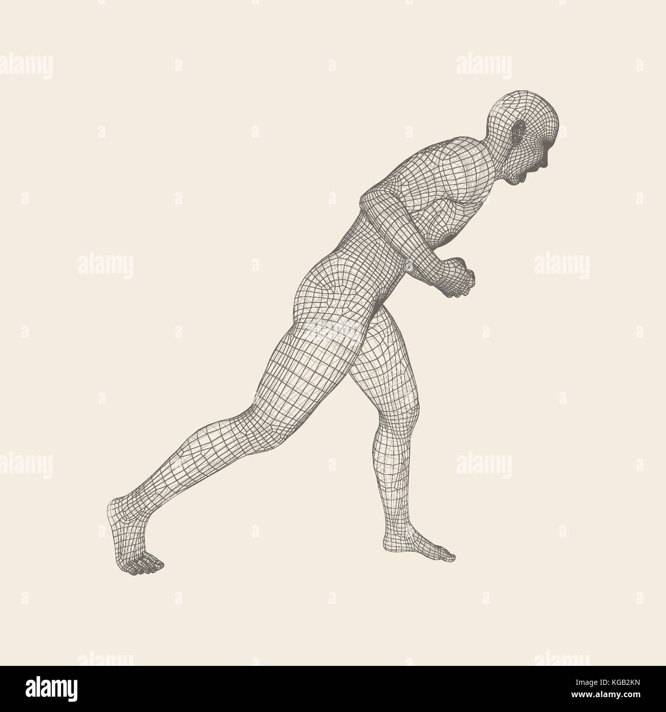 Fighter. Fitness sports. Martial arts. 3D Model of Man. Human Body ...