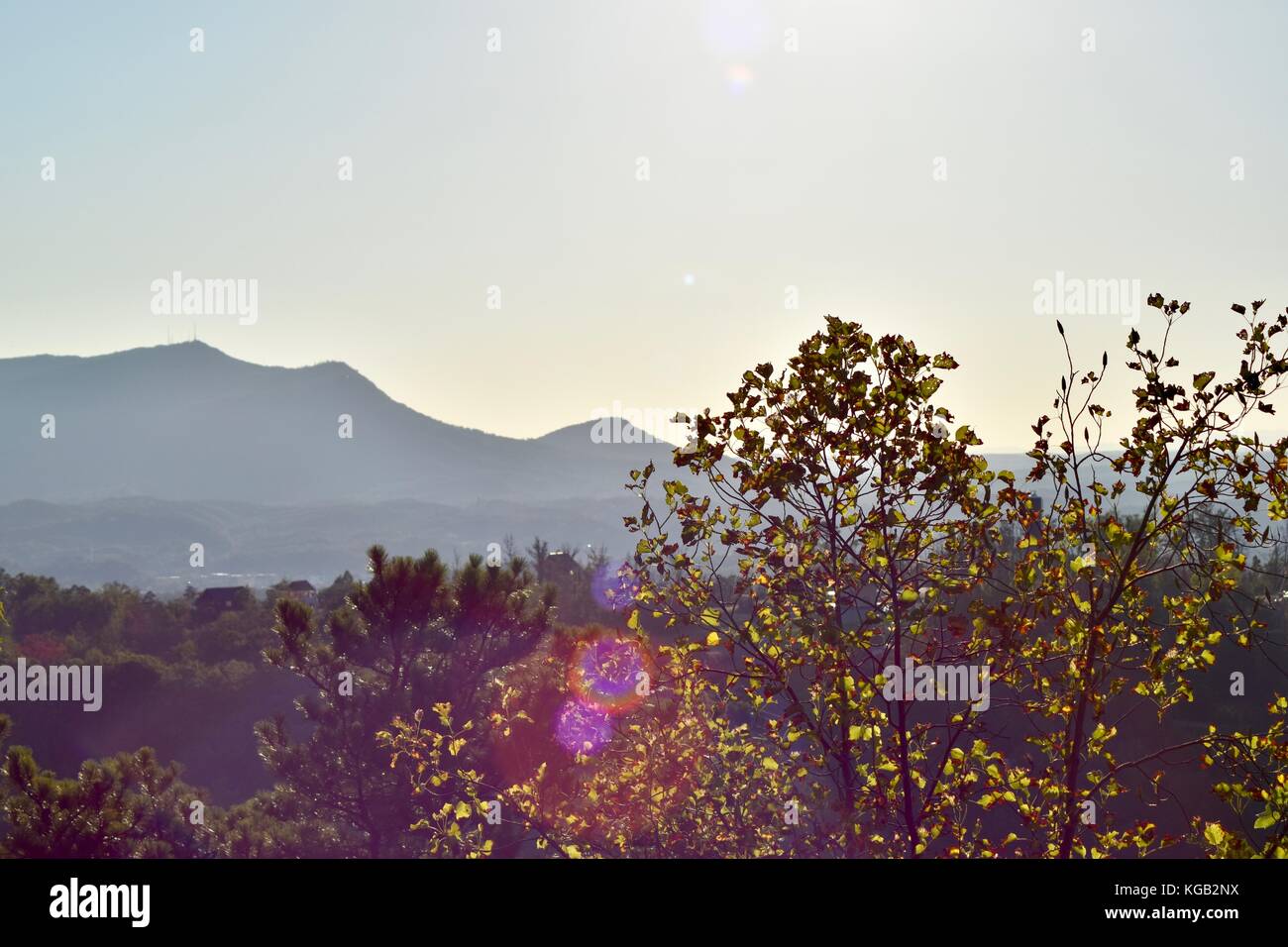 Gatlinburg pigeon forge hi-res stock photography and images - Alamy