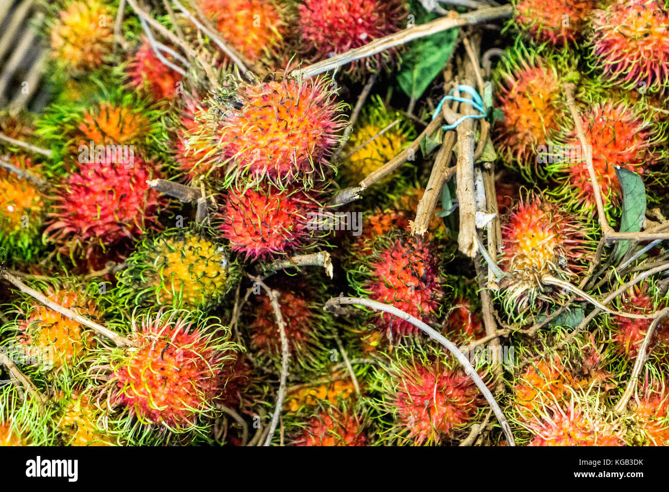 Rambutans malaysia hi-res stock photography and images - Alamy