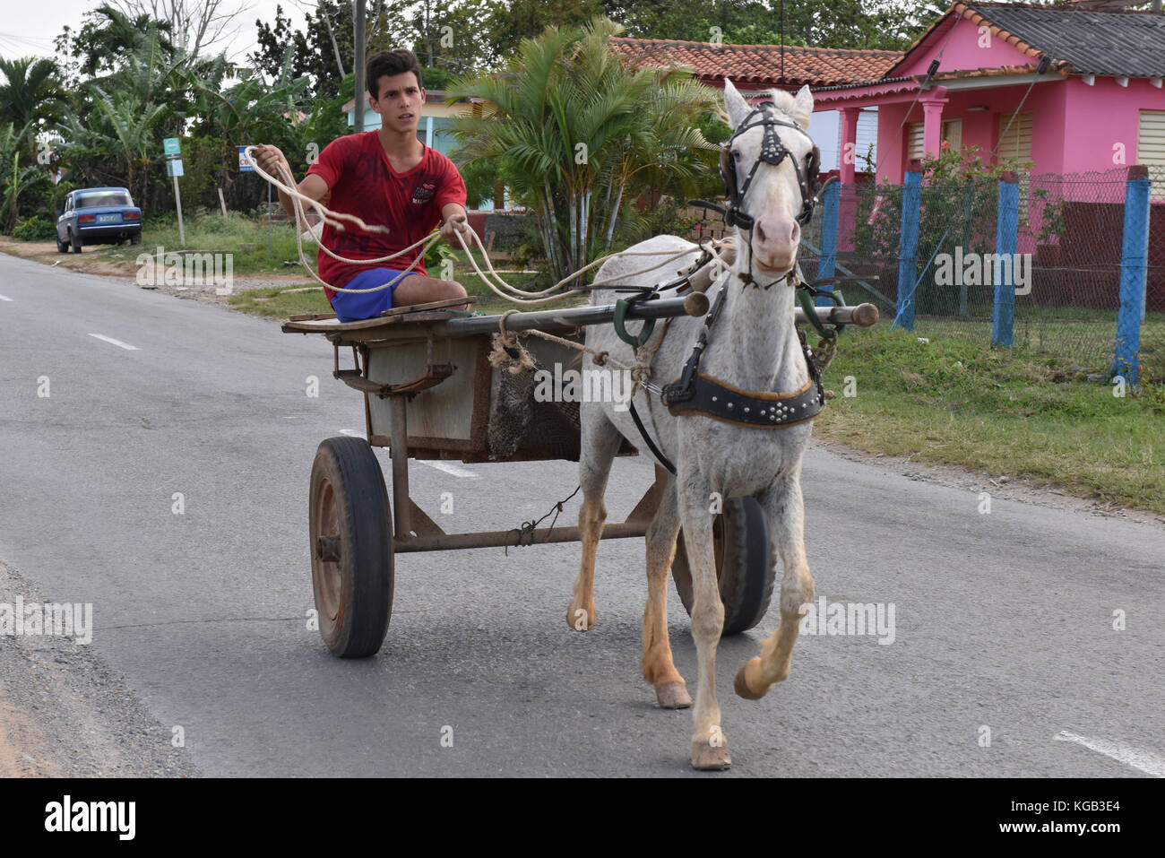 Tourists and local on a Countryside road Vinales Cuba Stock Photo - Alamy