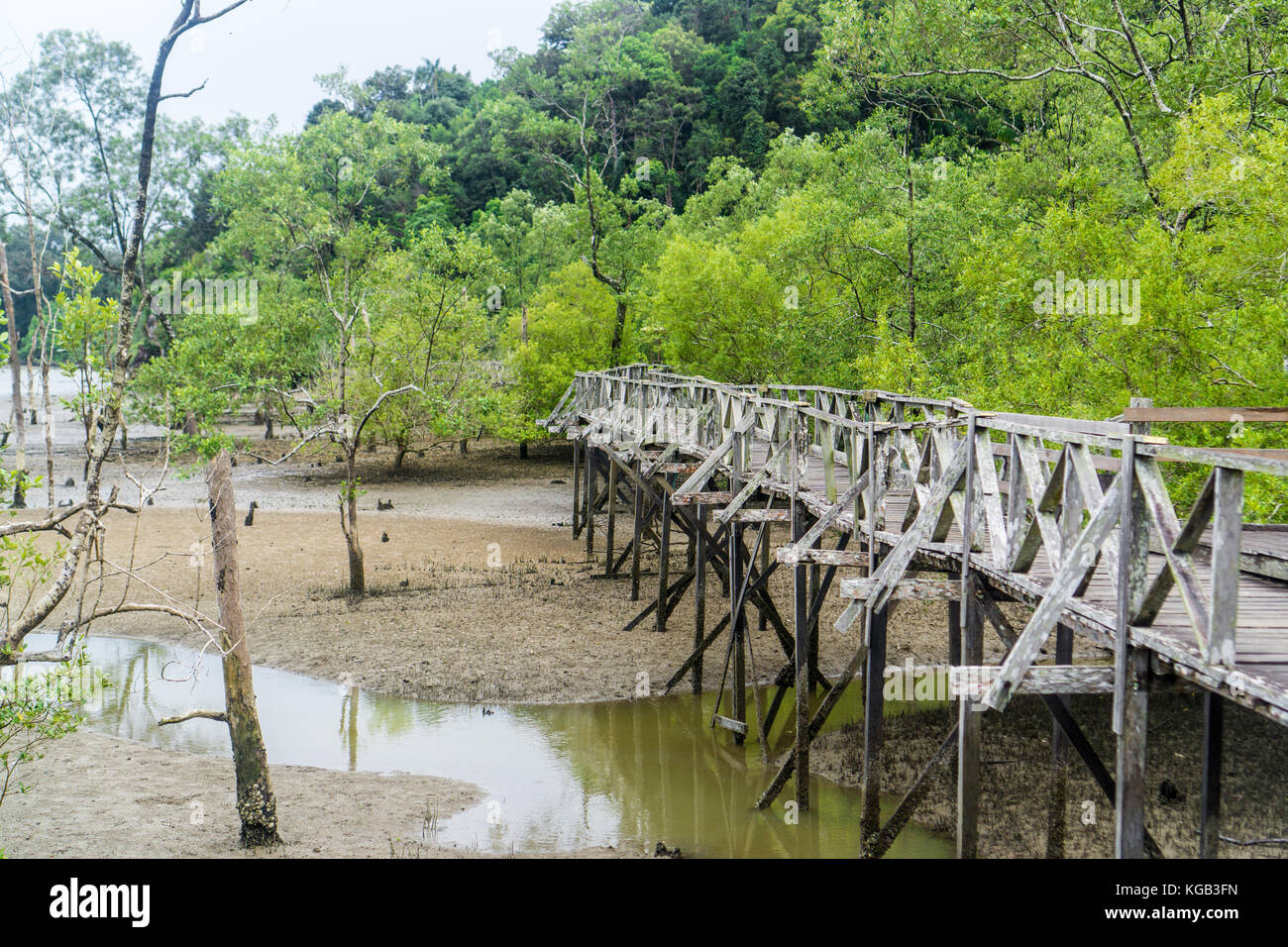 Bako National Park - A Bridge Stock Photo - Alamy