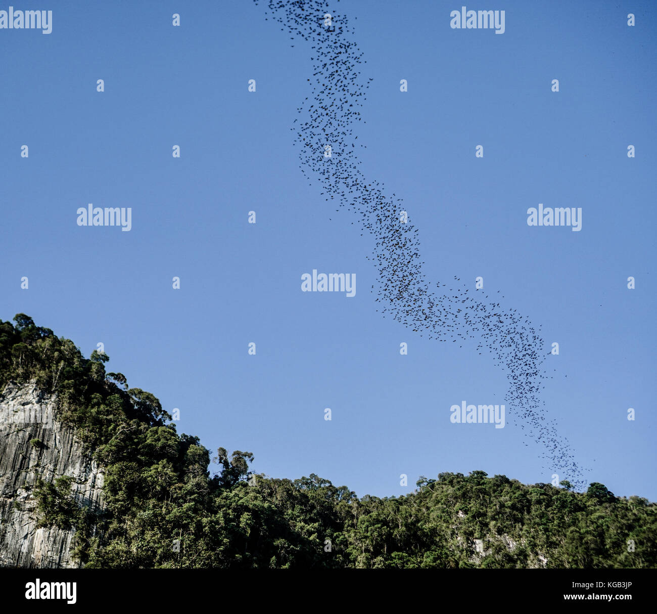 Exiting cave hi-res stock photography and images - Alamy