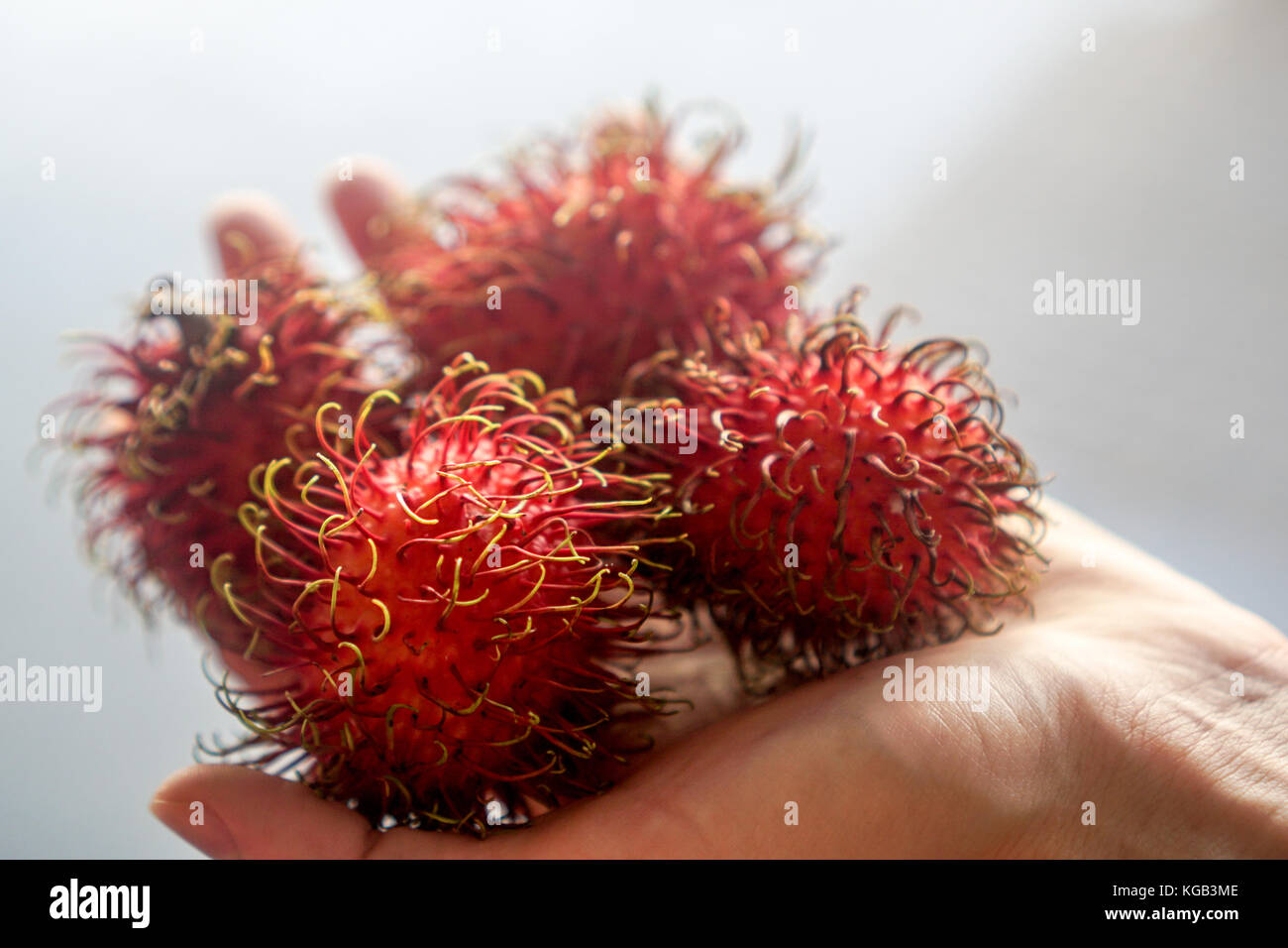 Red garden food georgetown hi-res stock photography and images - Alamy