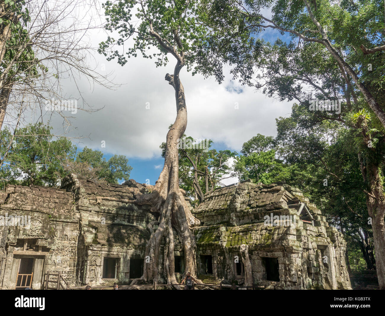 Ta Prohm Temple Stock Photo - Alamy