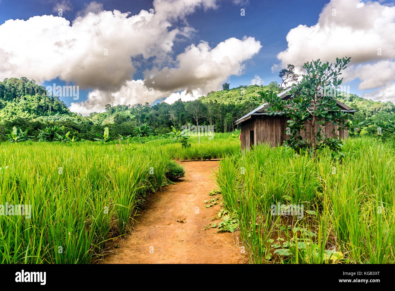 Cambodia rural people family hi-res stock photography and images - Alamy