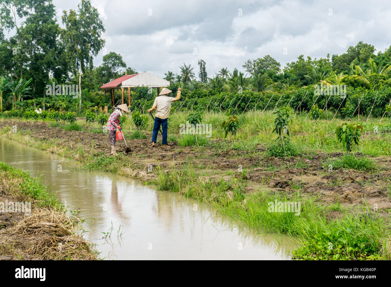 Working in the farm Stock Photo - Alamy