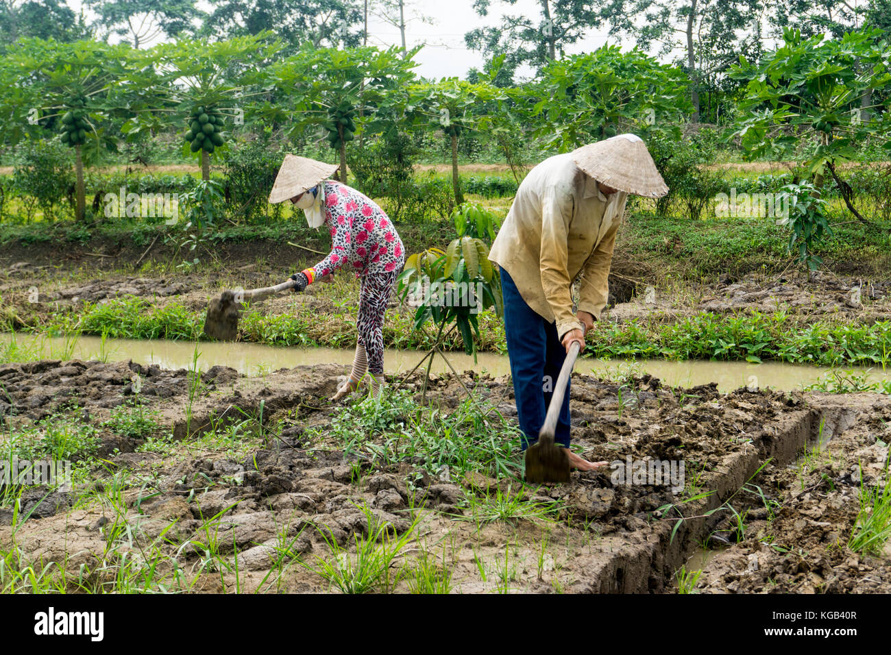 Working in the farm Stock Photo - Alamy