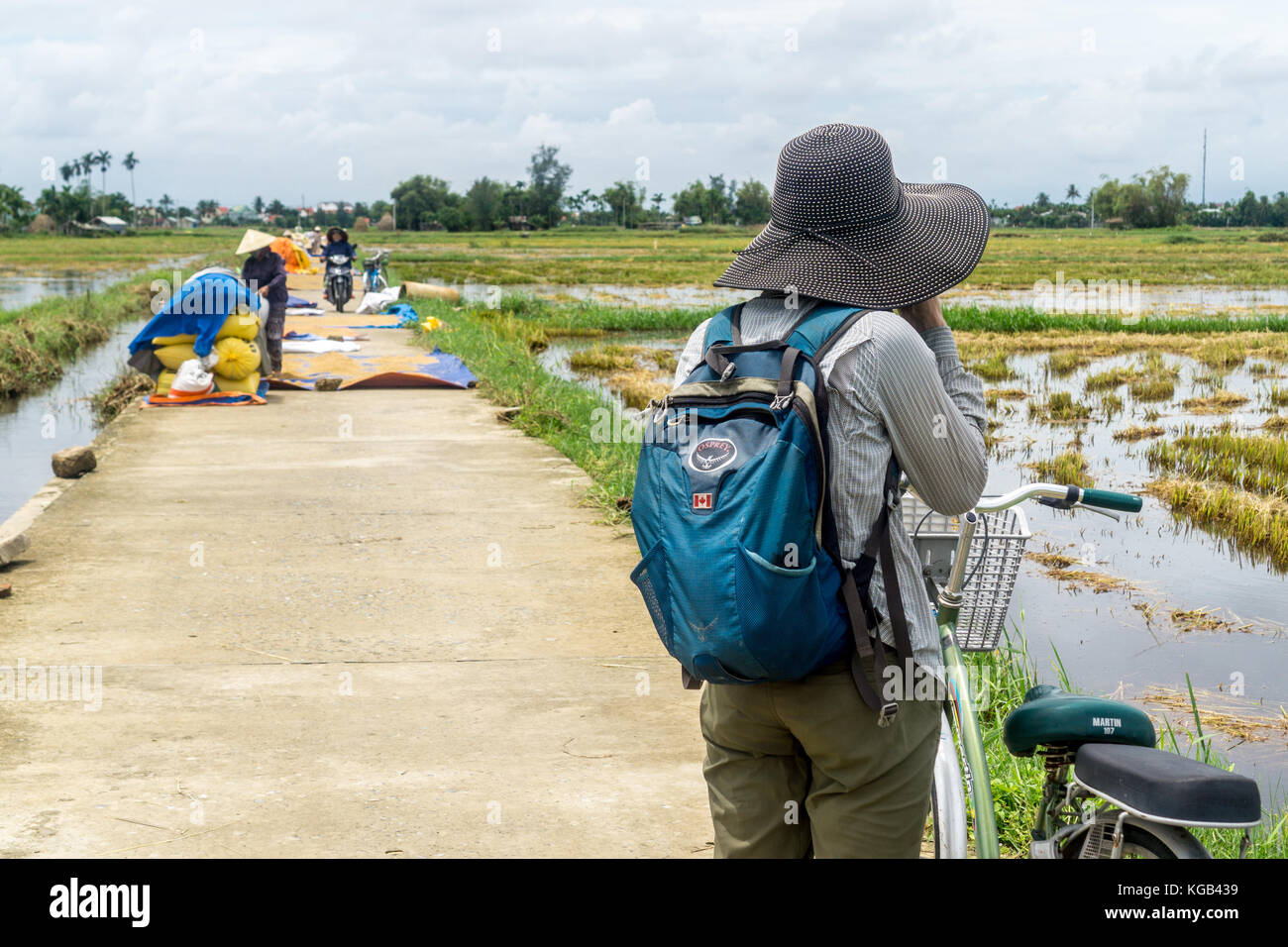 Female tourist riding bike through rice field Stock Photo - Alamy