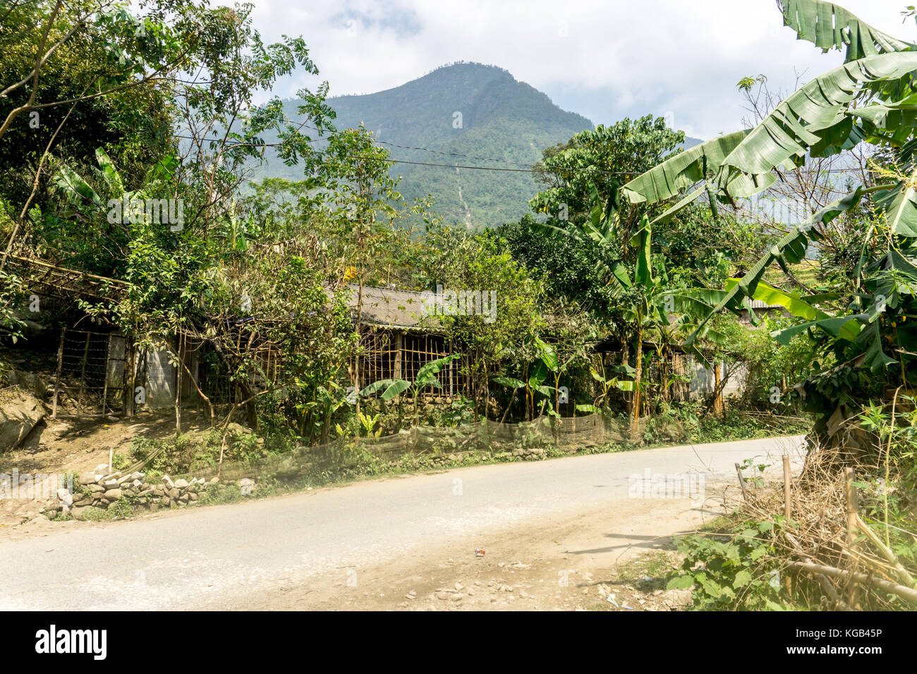 Vietnam rural landscape palm tree hi-res stock photography and images ...