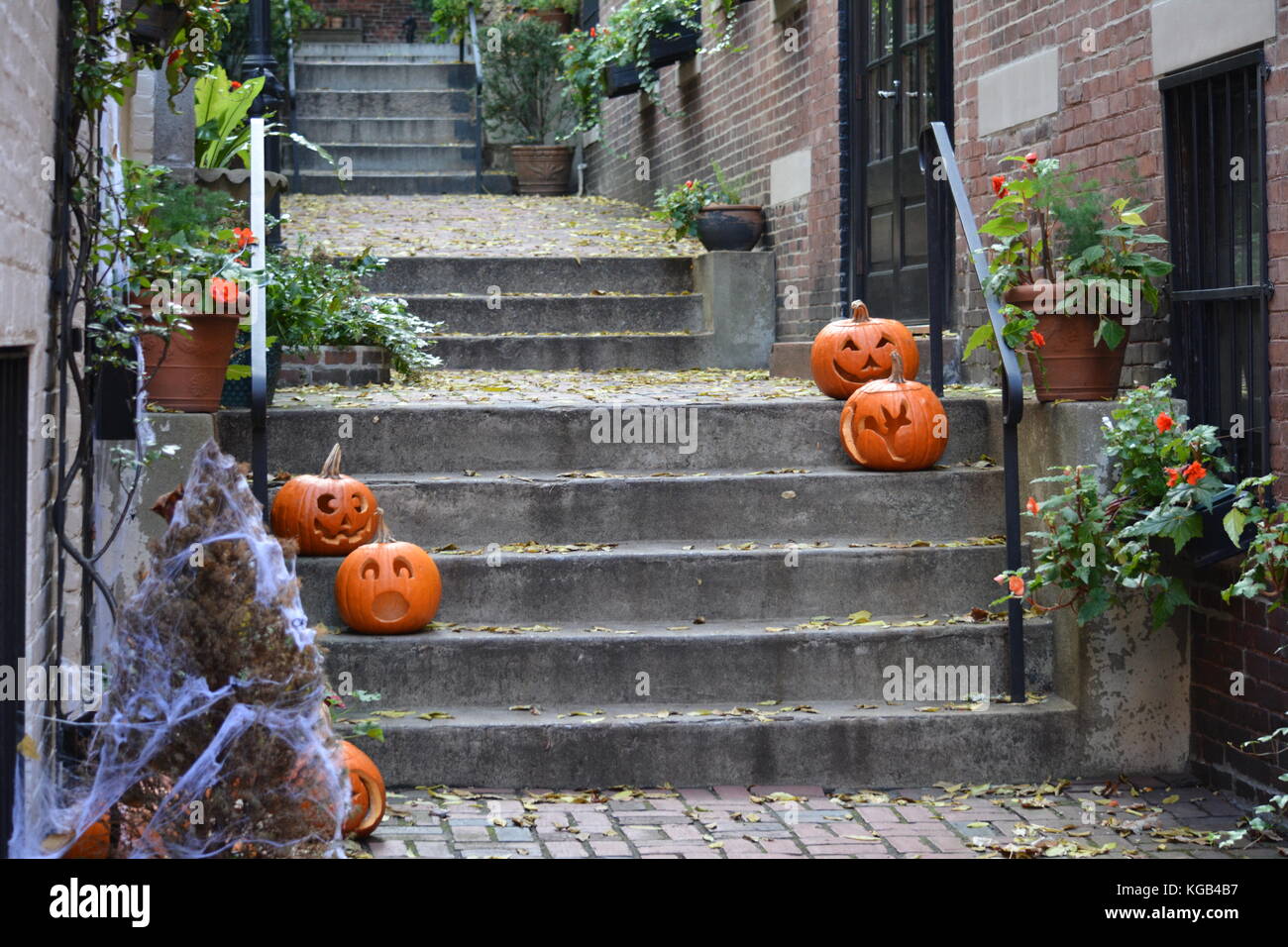 Autumnal (Autumn) and Halloween sights seen around Beacon Hill in ...