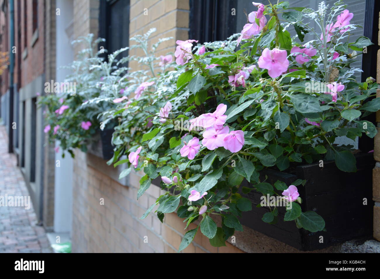 Autumnal (Autumn) and Halloween sights seen around Beacon Hill in ...
