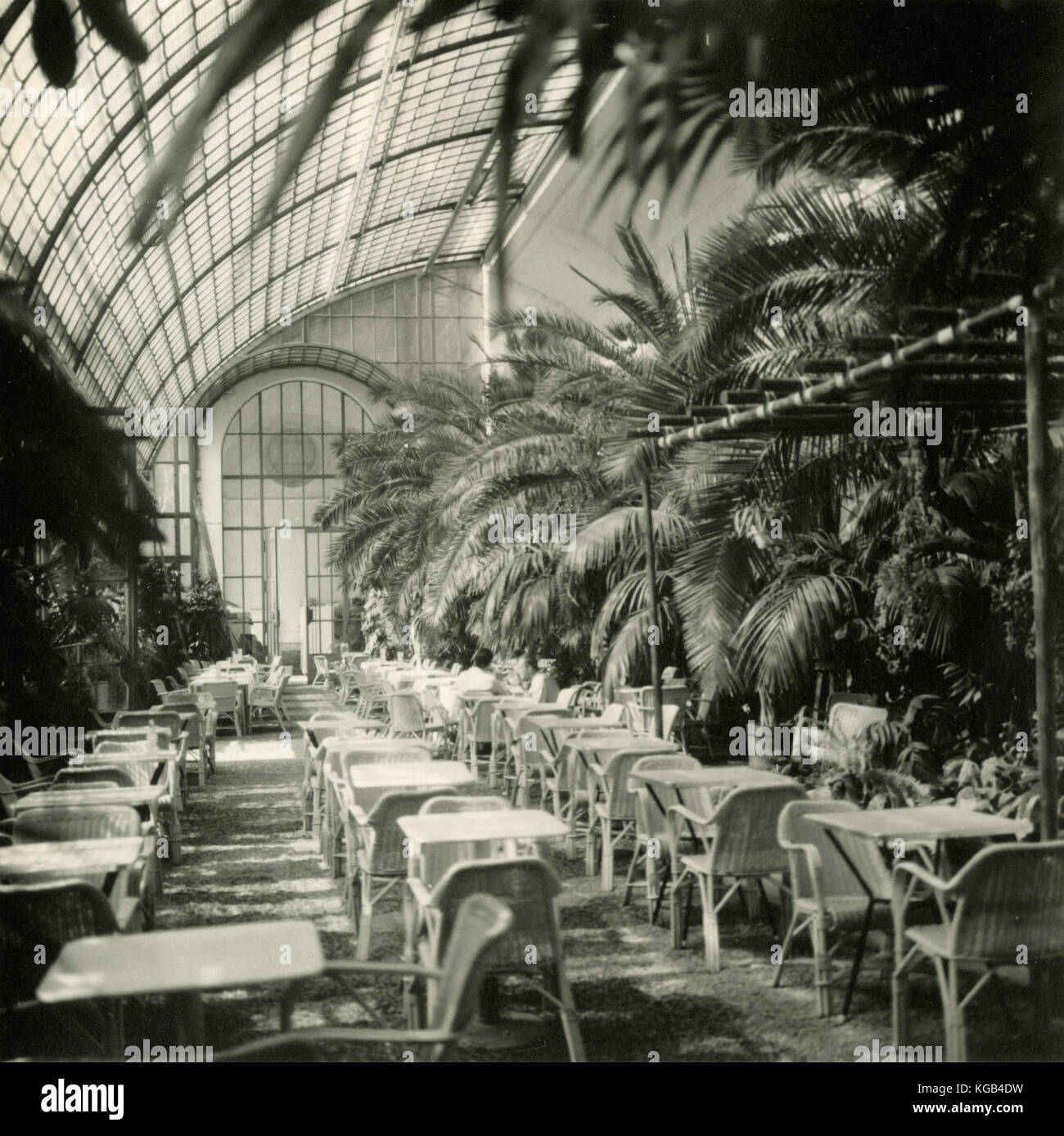 Inside view of Vienna Palmenhaus, Schonbrunn Stock Photo - Alamy
