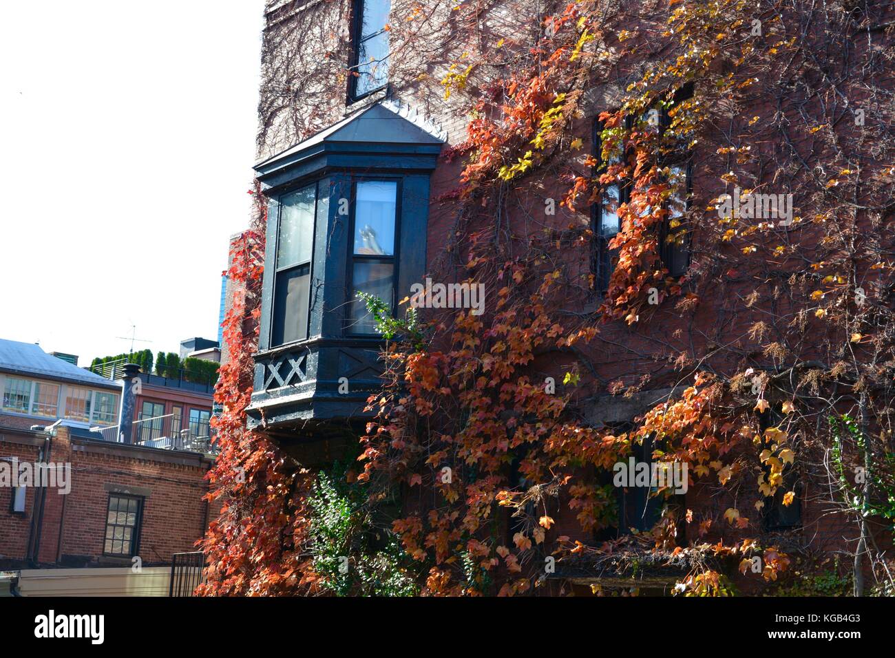 Autumnal (Autumn) and Halloween sights seen around Beacon Hill in ...