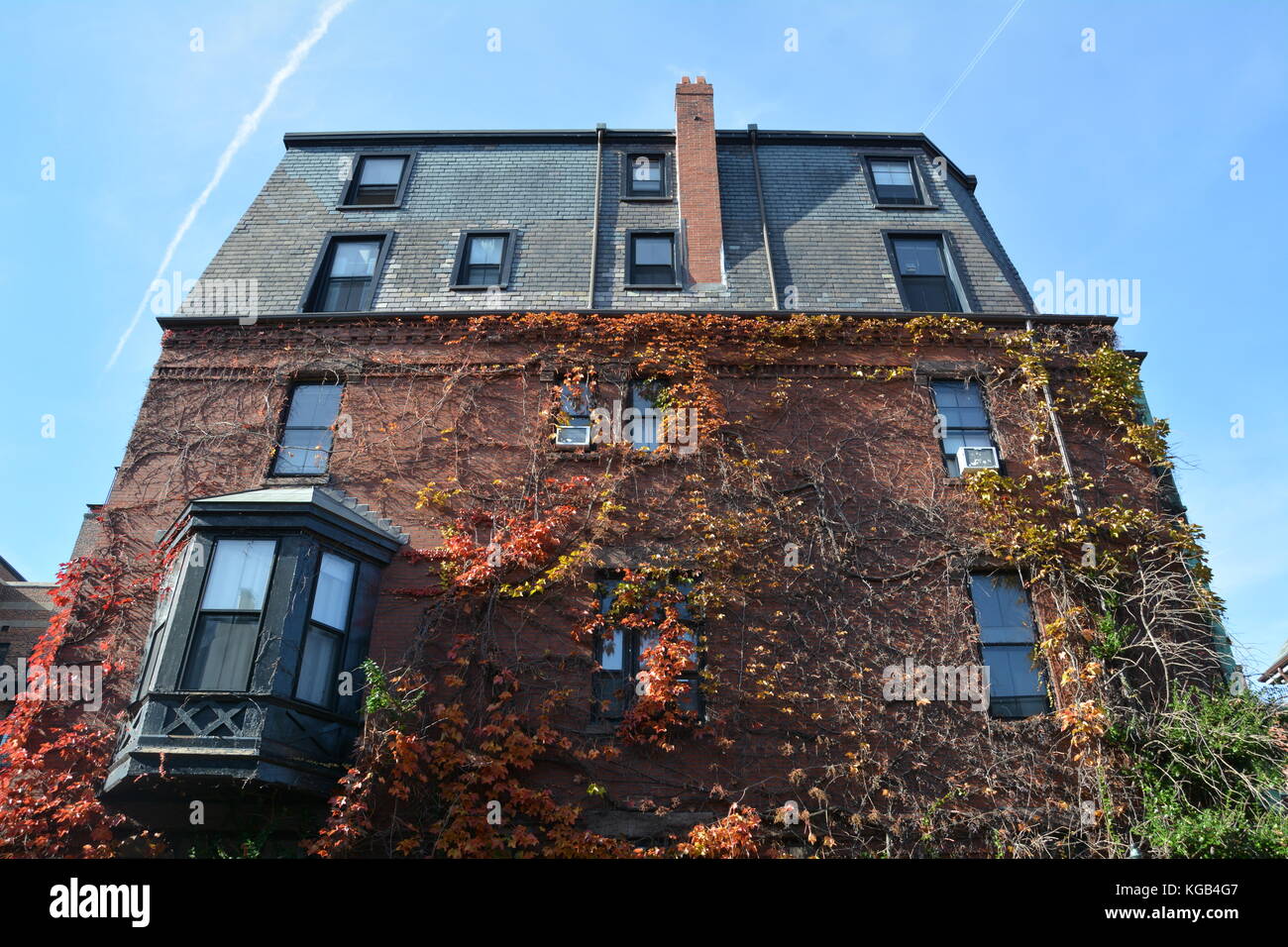 Autumnal (Autumn) and Halloween sights seen around Beacon Hill in ...