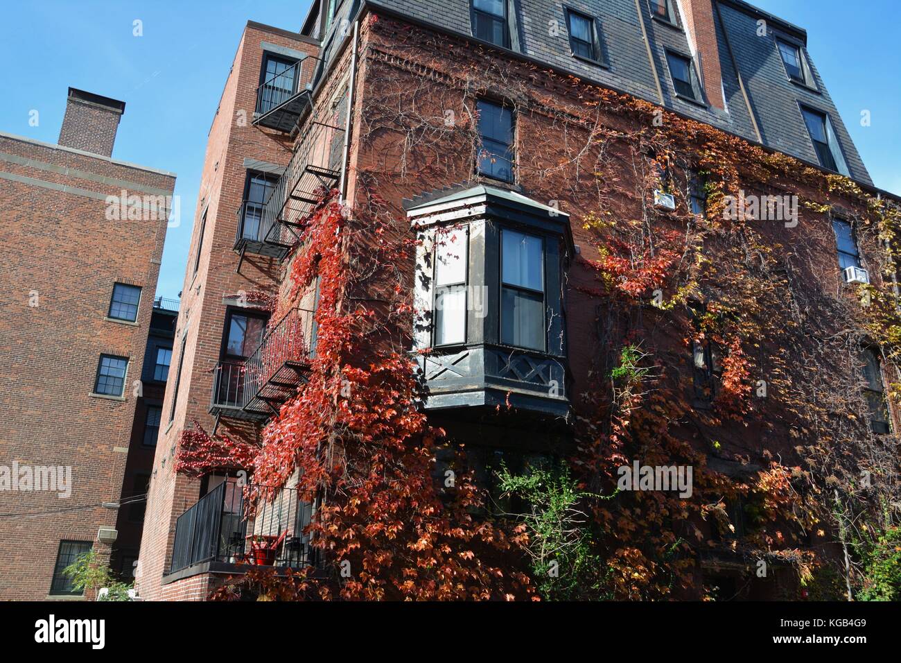 Autumnal (Autumn) and Halloween sights seen around Beacon Hill in ...