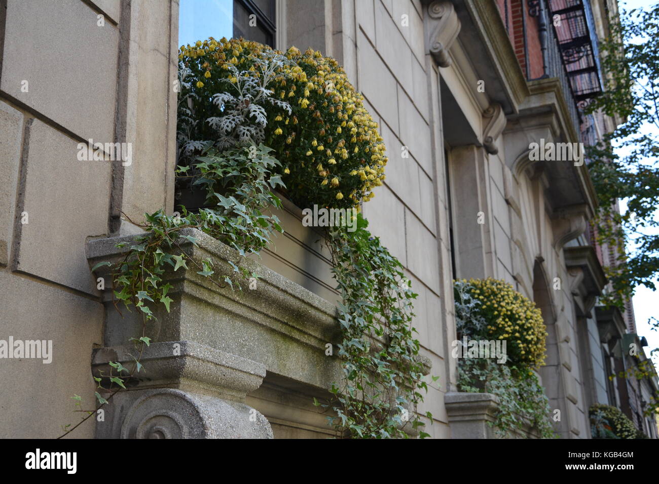 Autumnal (Autumn) and Halloween sights seen around Beacon Hill in ...