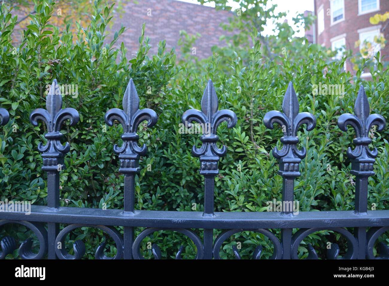 An ornate cast iron fence against a lush green hedge in Beacon Hill ...