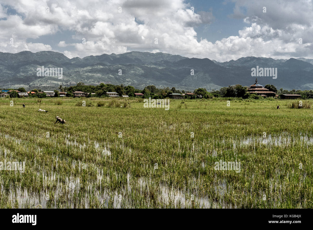 Inle Lake, Myanmar Stock Photo - Alamy
