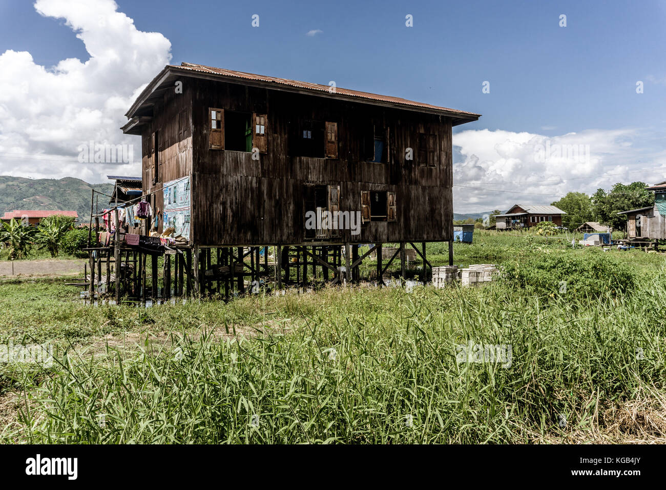 Burma reed hi-res stock photography and images - Alamy