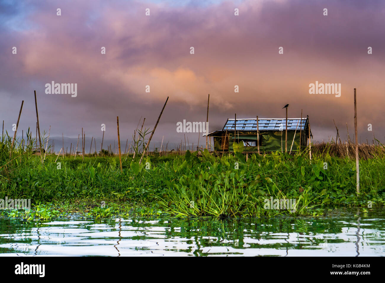 Fisherman and floating gardens landscape hi-res stock photography and ...