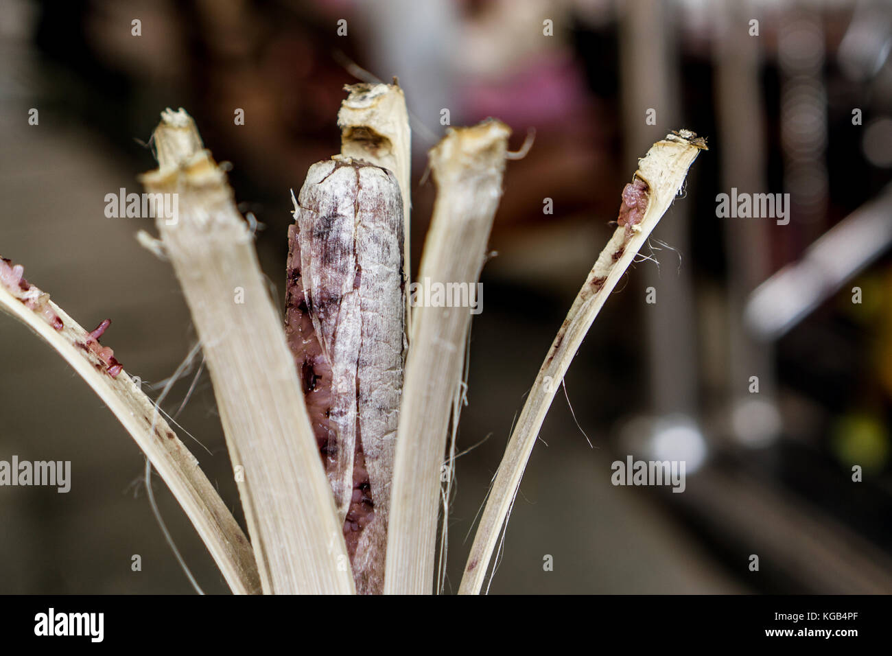 Mandalay, Myanmar - sticky rice in bamboo at street market Stock Photo ...