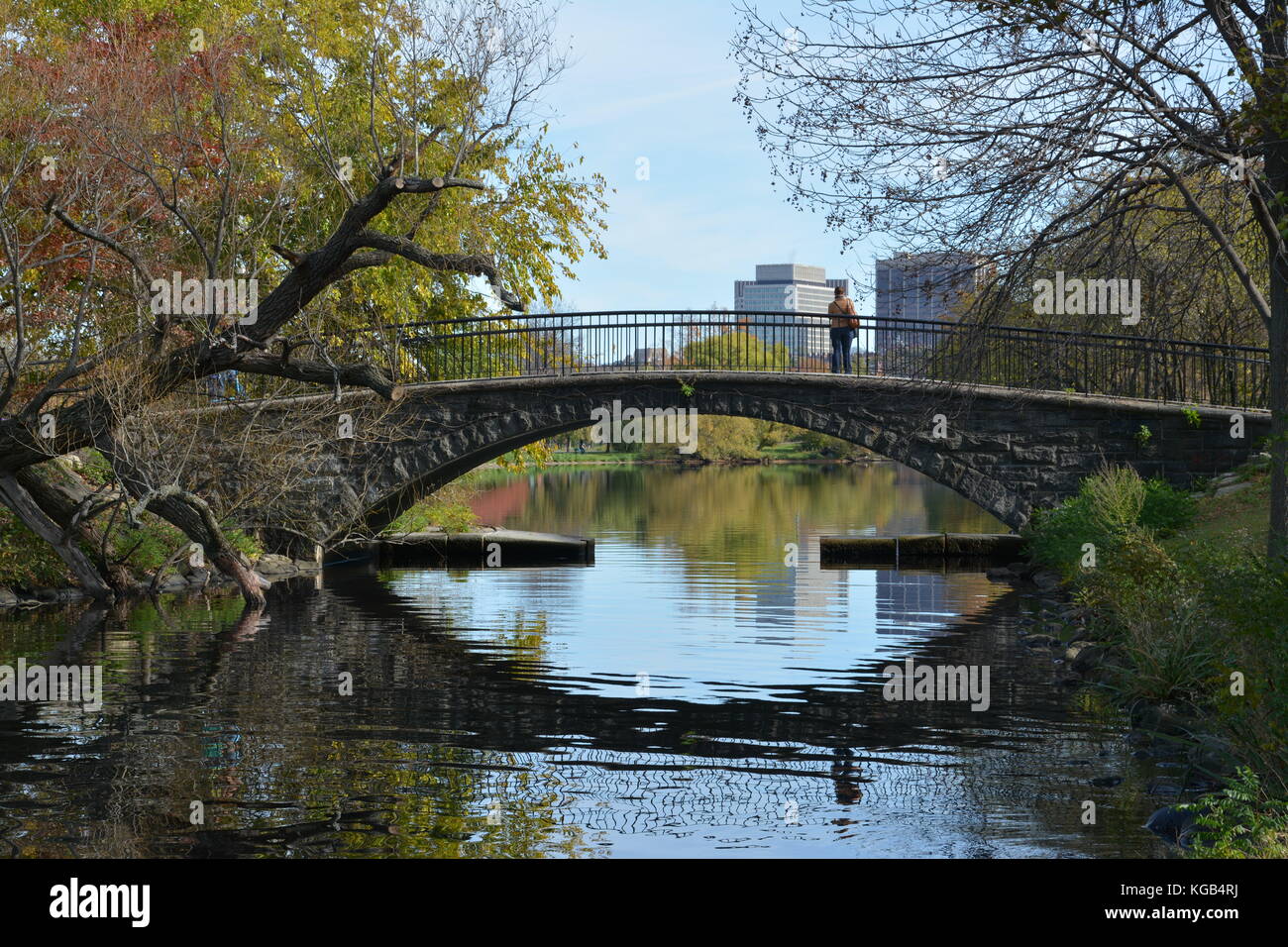 Fall Foliage along the Charles River Esplanade in Boston's Back Bay ...