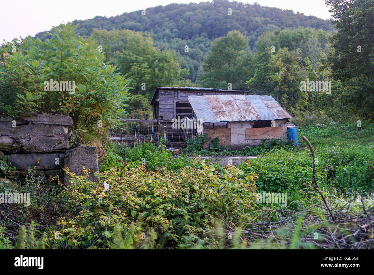 Shack in Farm Stock Photo - Alamy