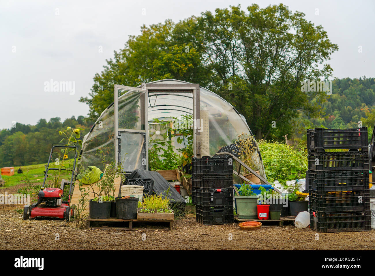 Hoop house on small family run farm Stock Photo - Alamy