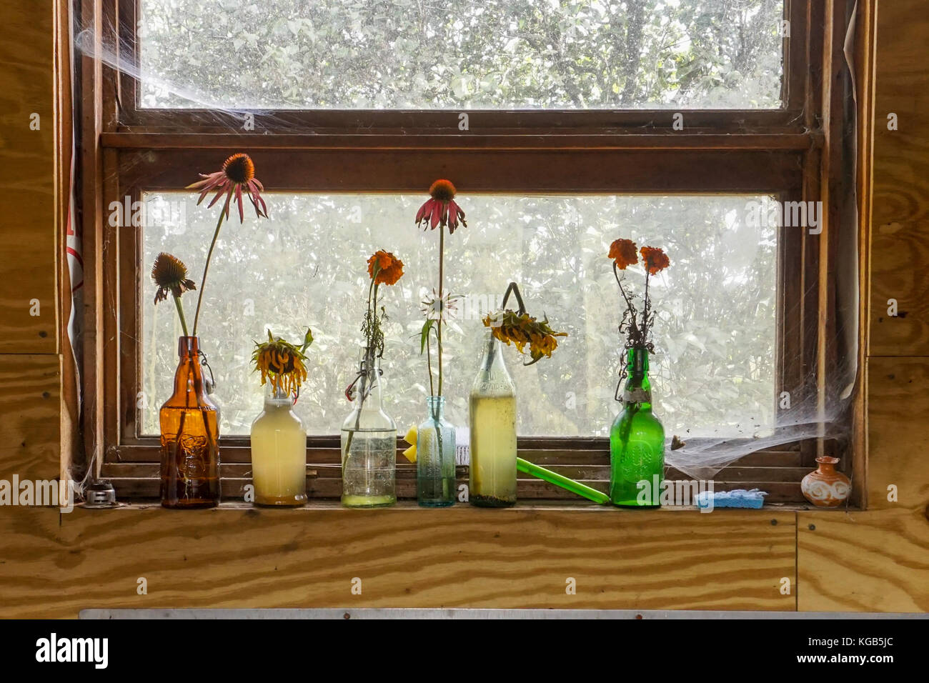Flowers drying on ledge in vase Stock Photo - Alamy