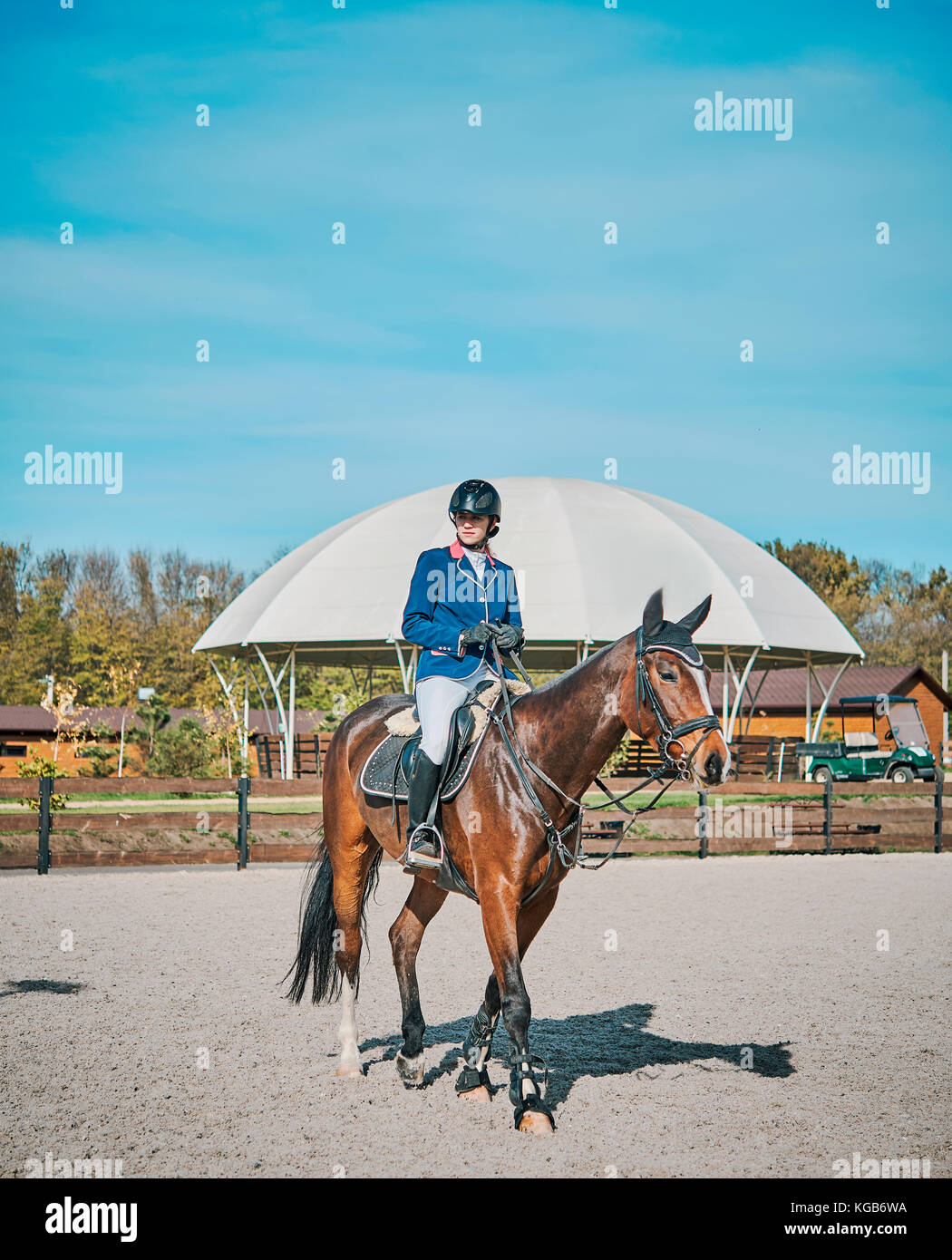 Equestrian horse lady dressage hi-res stock photography and images - Alamy