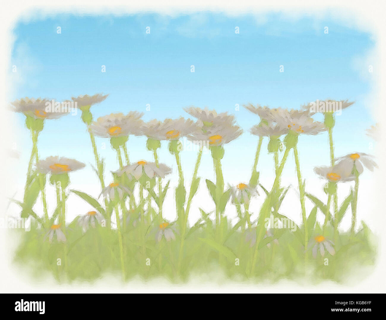 Daisy flower digital painting Stock Photo - Alamy