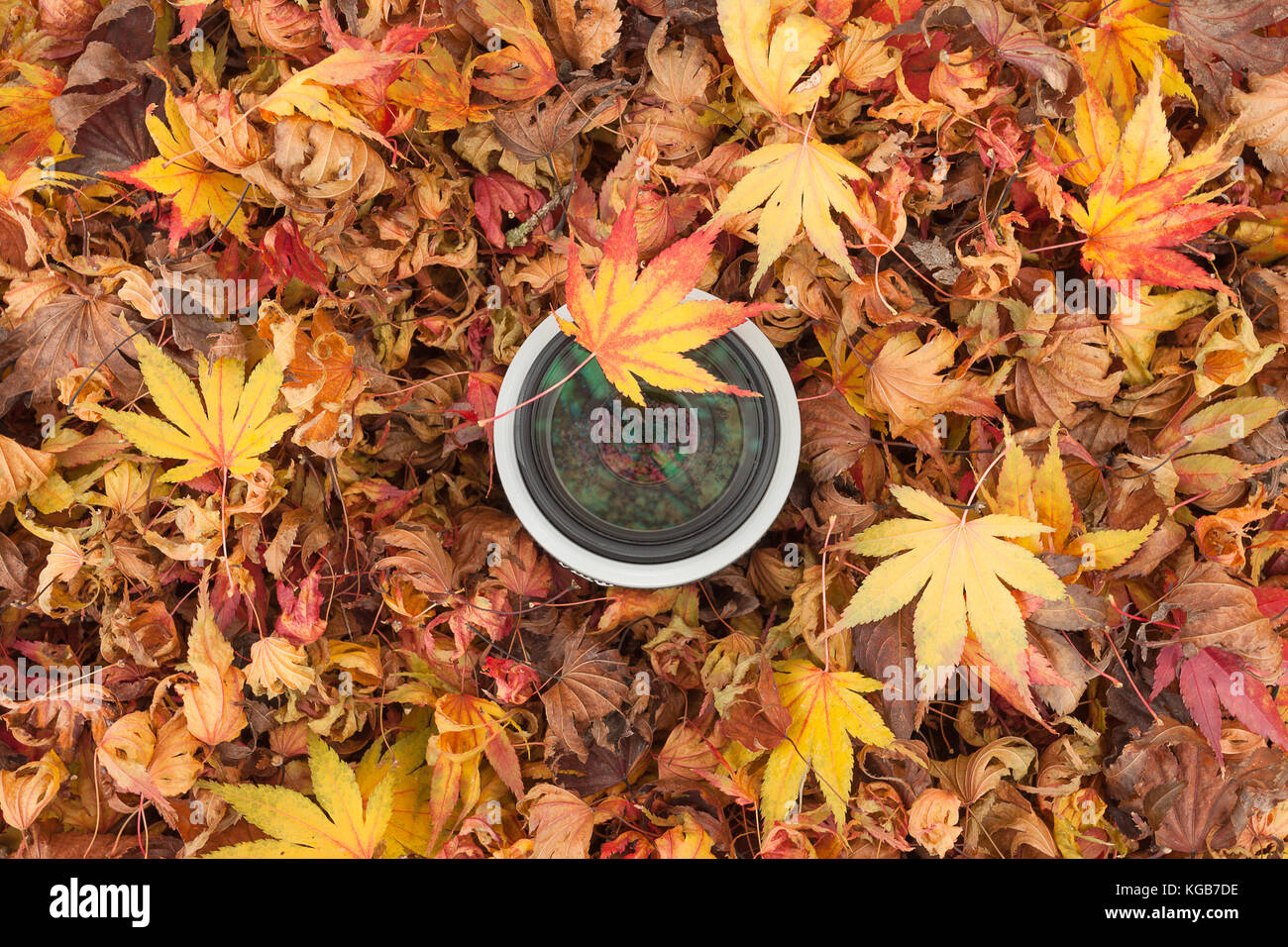 Camera lens over colored hi-res stock photography and images - Alamy