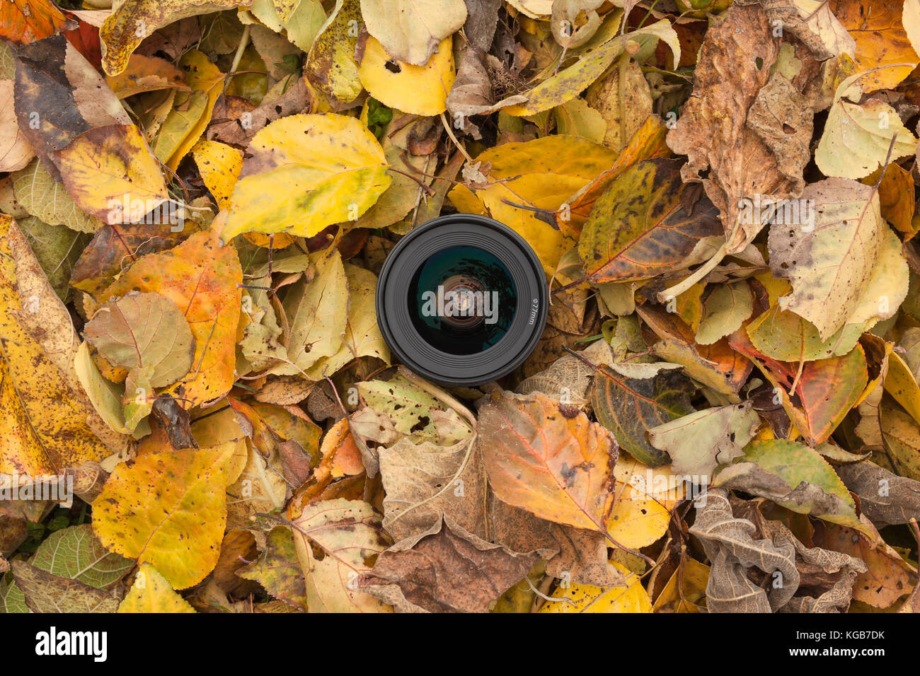 Camera lens over colored hi-res stock photography and images - Alamy