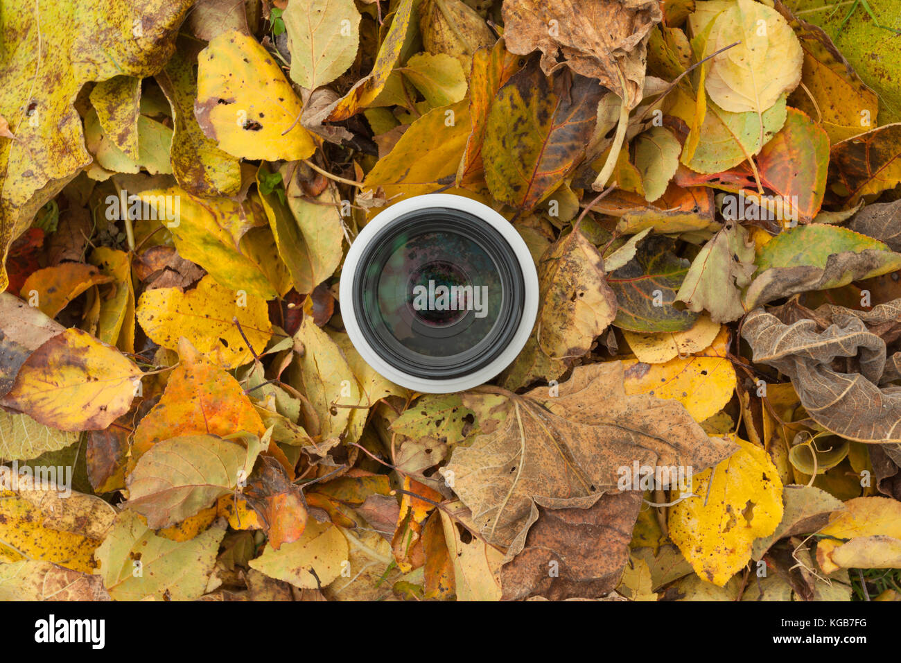 Camera lens over colored hi-res stock photography and images - Alamy
