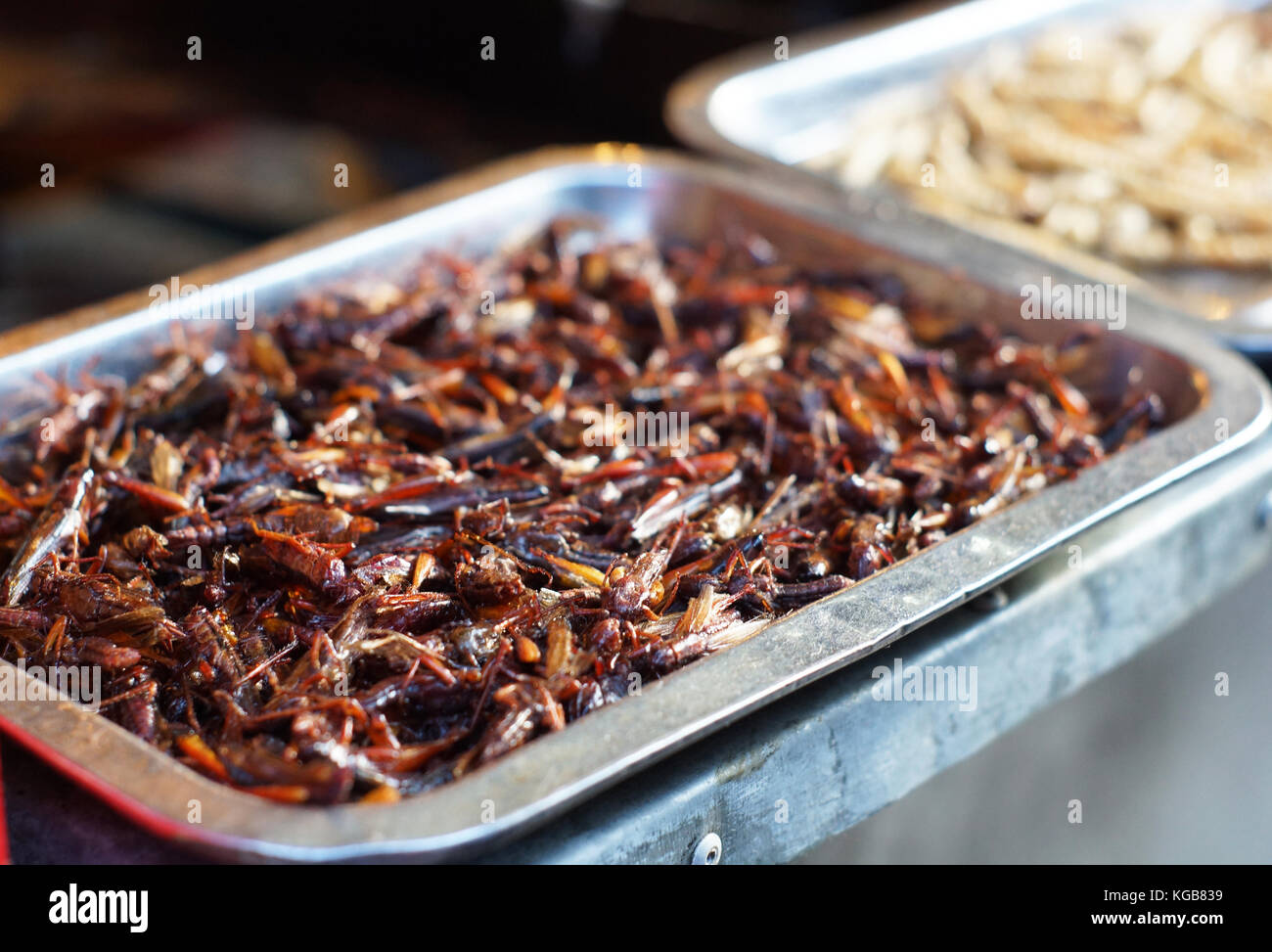 China insect food hi-res stock photography and images - Alamy