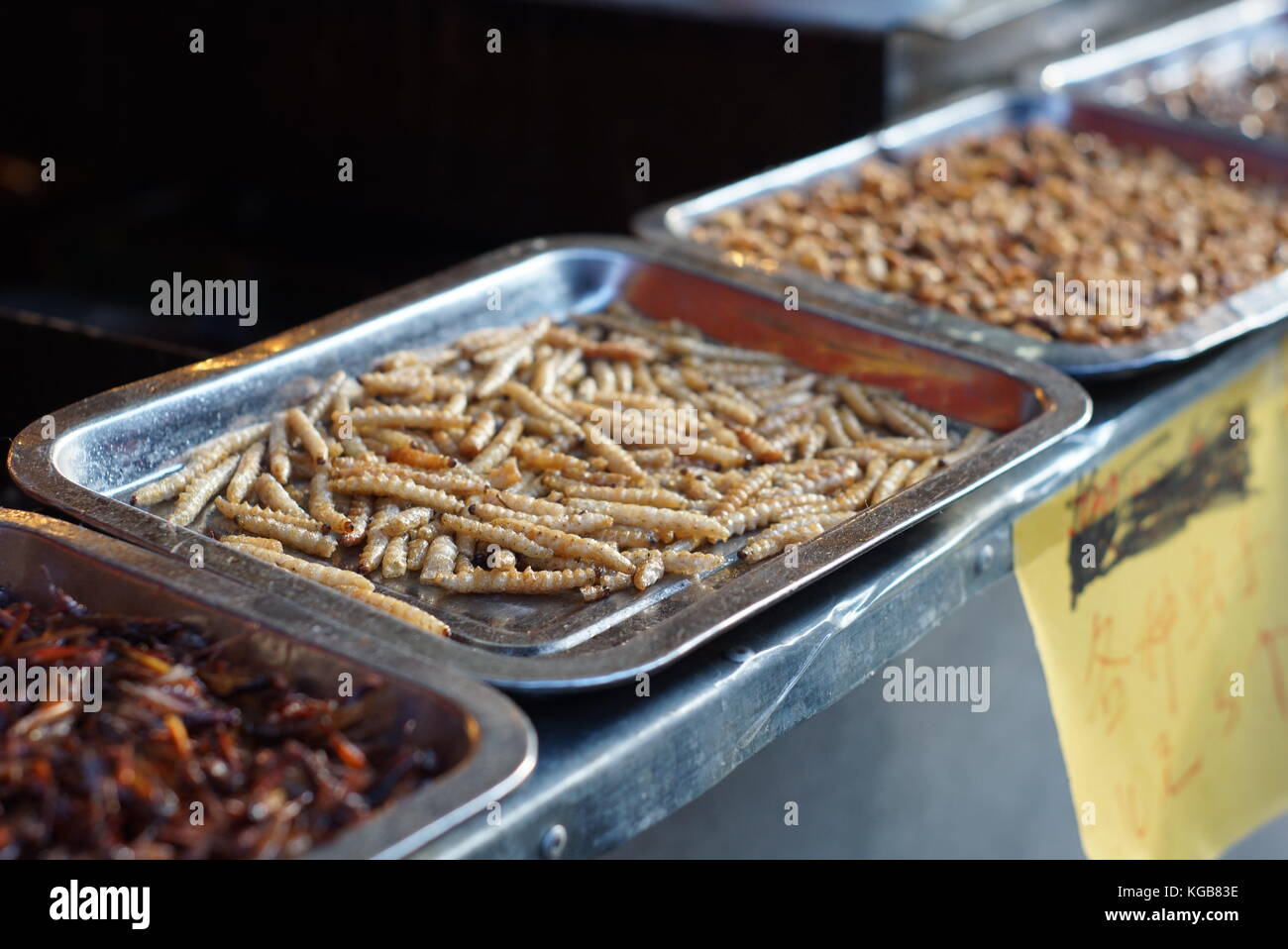Insect food china hi-res stock photography and images - Alamy