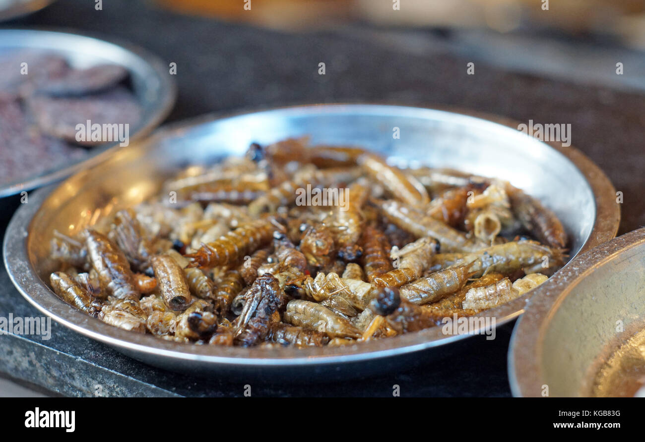 deep fire worm, dragonfly nymph, yunnan local food Stock Photo - Alamy