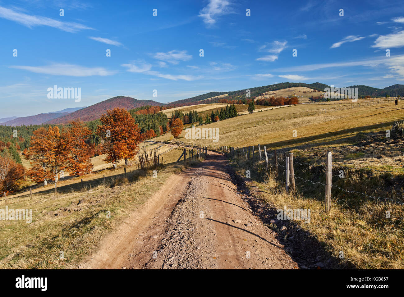 Dirt road through vibrant autumnal landscape Stock Photo - Alamy