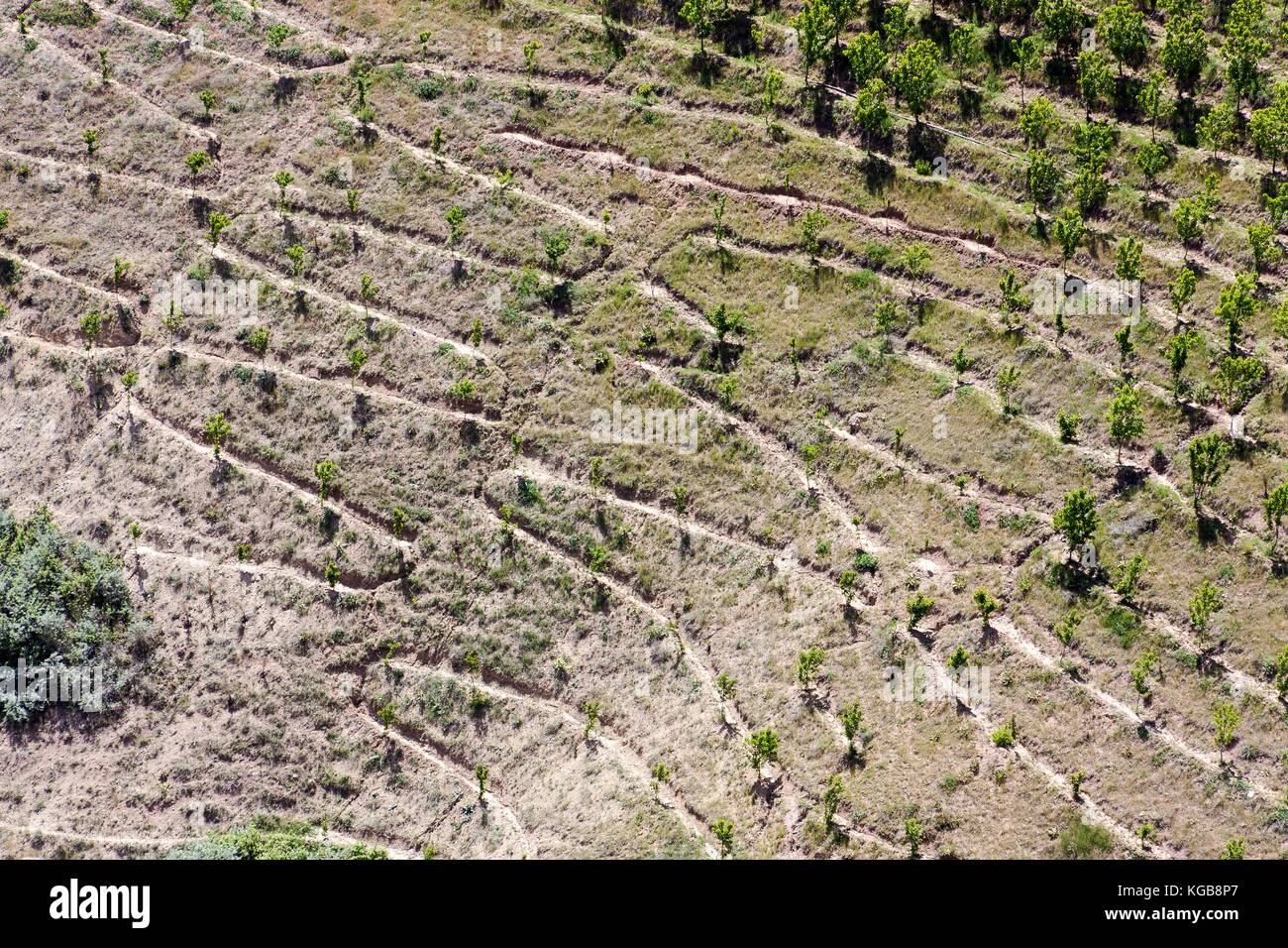 Drone view of paths of Iranian farmland Stock Photo - Alamy