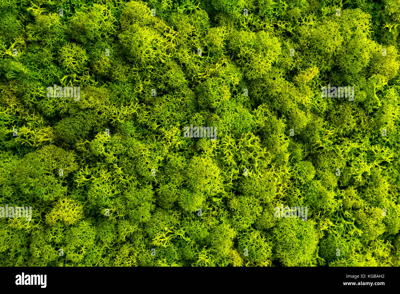 Moss wall interior hi-res stock photography and images - Alamy